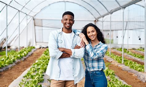 온실에서 여성 흑인 남성 또는 농부의 성공 상추 지속 가능성 농업 또는 건강 식품 관리 초상화 미소 또는 행복한 정원사 팀워크와 야채 잎 식물의 성장 마인드 조경에 대한
