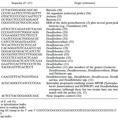 Oligonucleotide Probes Used For Pcr Amplification And In Situ Download Table