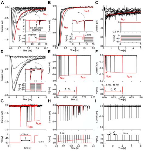 Voltage Clamp Experiments For Kinetic Analysis Of Na Currents Download Scientific Diagram