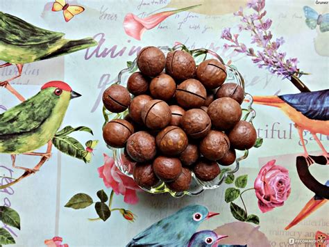 Орехи Макадамия «Макадамия самый дорогой орех в мире Почему же такая цена Действительно ли у