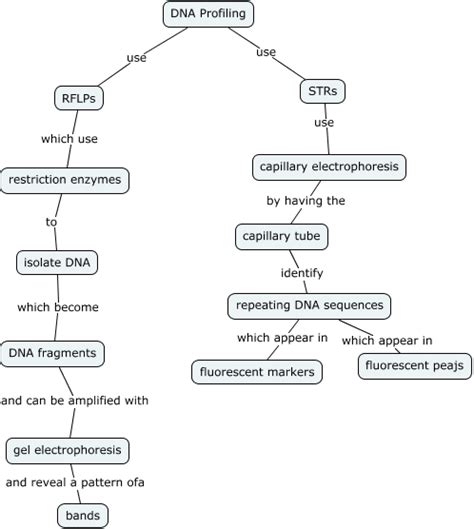 Dna Profiling