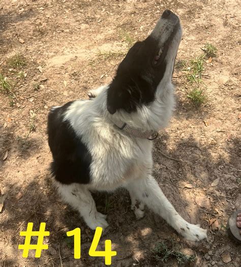 Holly Dool Holly Dool Added A New Photo