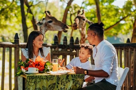 8 Amazing Activities You Should Not Miss At Casela Nature Parks