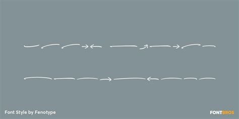 Ellie Script Ornaments Font Style By Fenotype Font Bros