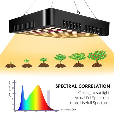 300w 900w Led 성장 조명 전체 스펙트럼 Led 식물 램프 Repalce Hps 그린 하우스 텐트 Veg 수경 식물에