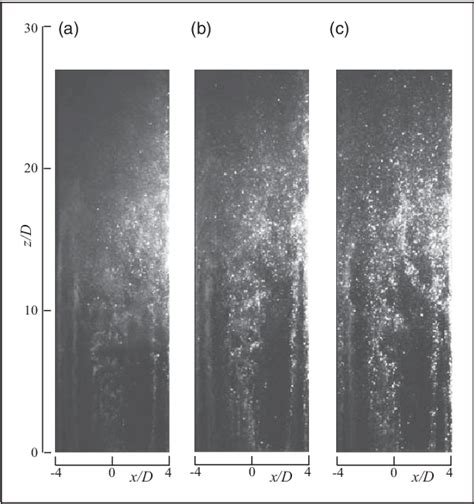 Figure 4 From Motion Of A Spherical Particle In A Microbubble Plume And The Behavior Of