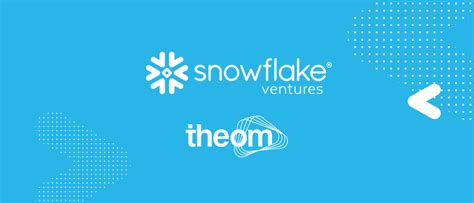 Snowflake Backs Theom In Data Security And Governance Theom Posted On The Topic Linkedin