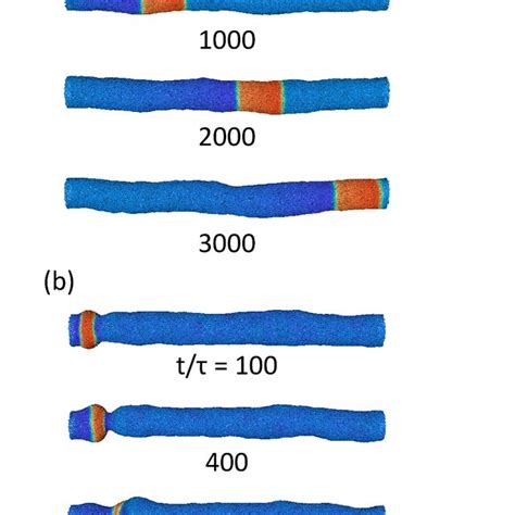 Typical Sequential Snapshots Of Propagating Waves On Non Deformable Download Scientific Diagram