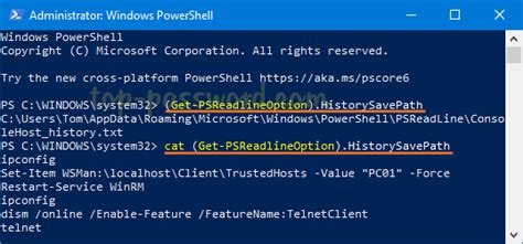 how to see command history from previous powershell sessions in windows
