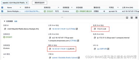 aws ec2实例绑定多个弹性ip aws给一个ec2分配2个弹性ip 第2个无法连接 csdn博客