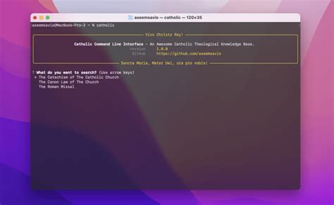 I Created A Command Line Program To Search Catechism Canon Law And Roman