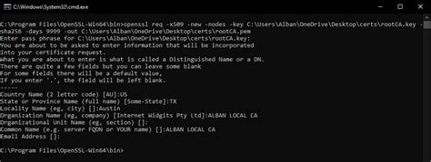 Resolve Annoying Self Signed SSL Certificate Issue SAP Community