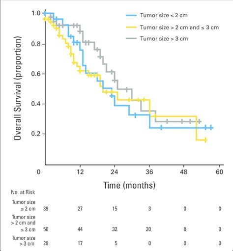 Fig A3 Time To Recurrence Rates By Tumor Size Kaplan Meier Estimation