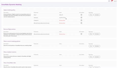 Native Data Access And Masking Control For Snowflake BigID