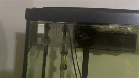 Can Anyone Help Me Sex My Angel I Didnt Know It Was Possible Little Guy Is Scared Of The