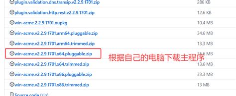 使用win Acme签发let‘s Encrypt免费ssl证书 Csdn博客