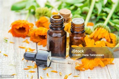 금 잔 화 추출 물입니다 약용 식물입니다 선택적 초점입니다 꽃 식물에 대한 스톡 사진 및 기타 이미지 꽃 식물 동종 요법 의학 건강관리와 의술 Istock