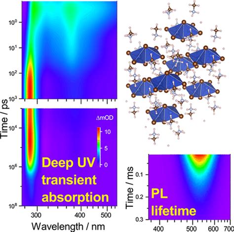 Triplet Excitons