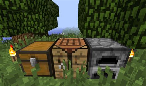 Quest World Need Custom Npcs Mod Minecraft Map