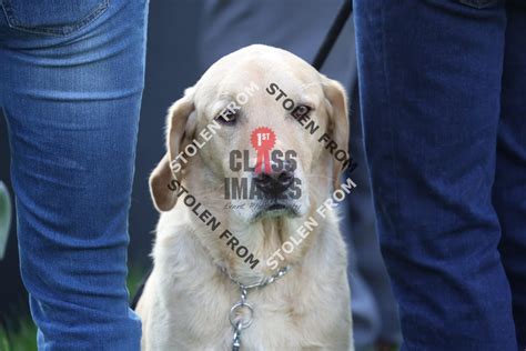 M374317 2024 1st Class Images