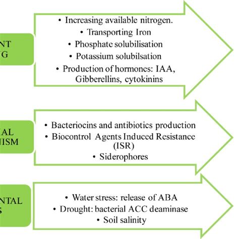 Plant Growth Promoting Properties Of Pseudomonas Through Nutrient Download Scientific Diagram