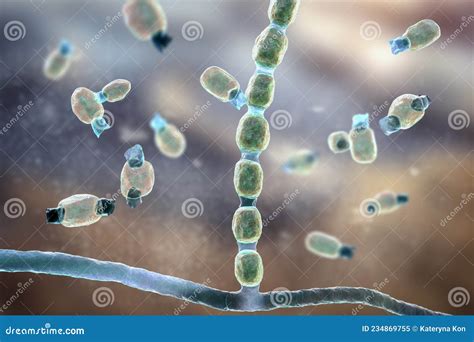 Saprophytic Bacteria