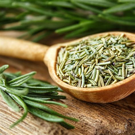 Rosemary Standardized Liquid Extract ® Delass Natural Products