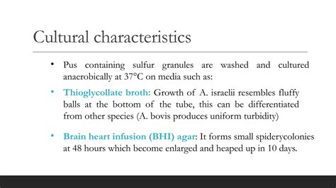 Actinomyces For Bachelor Of Dental Surgery Pptx Pptx