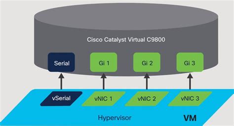 Cisco Catalyst 9800 Cl Wireless Controller Ha Sso Configuration Guide Networkgods