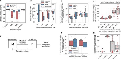 Gene Expression Control Using Generated Regulatory Dna Is Validated In