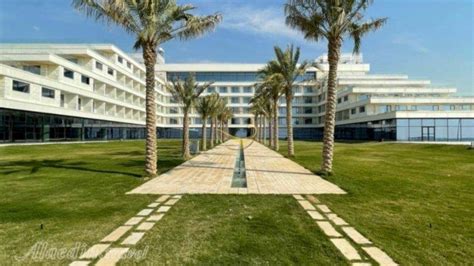 اقامتی دل انگیز کنار ساحل در هتل نخل کنگان 5 ستاره بوشهر عکس