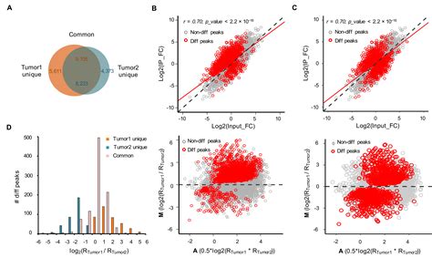 Refined Rip Seq Protocol For Epitranscriptome Analysis With Low Input
