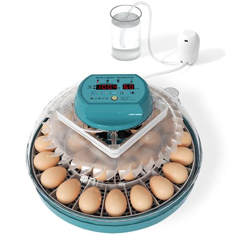Snapklik Com Hethya Egg Incubator Intelligent Incubator For Chicken Eggs