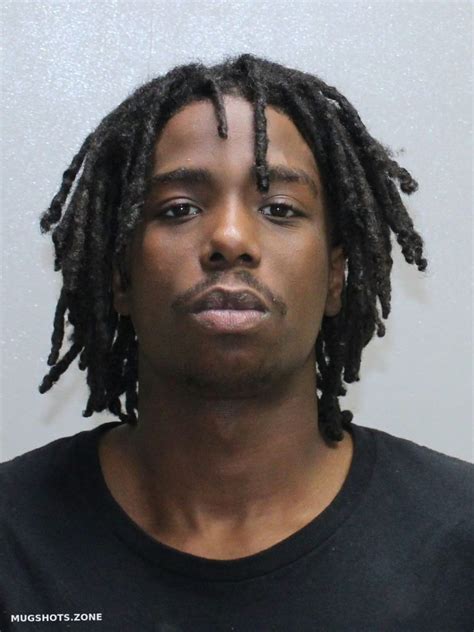 Fane Daejon M 11142025 Stephenson County Mugshots Zone