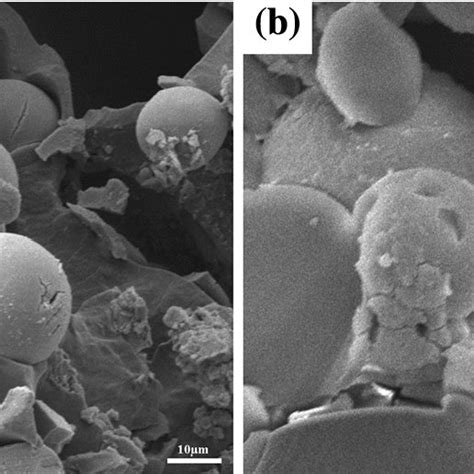 Interfaces Of The Coatings A And B Represent The Coating Without And Download Scientific