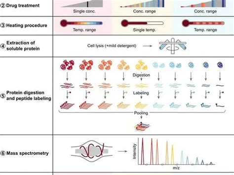 Apa Itu Teknik Tpp Dan Bagaimana Melakukannya Dengan Benar Makanan Sehat Dekat Saya