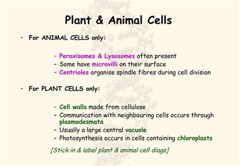 Cell And Molecular Biology Ppt