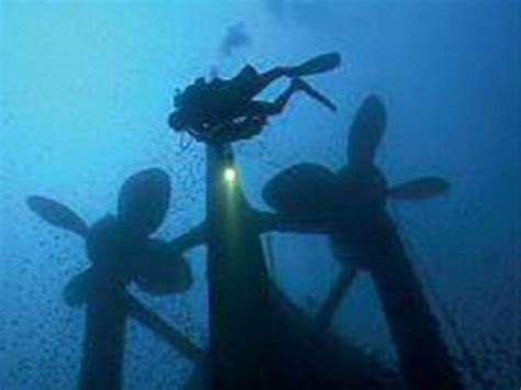 Nelsons Sword Hidden From Looters By Diver Who Discovered It On