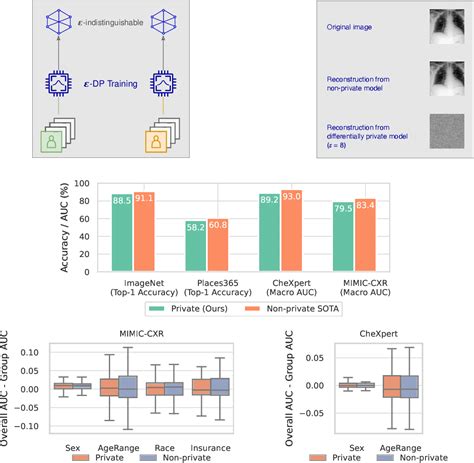 Unlocking Accuracy And Fairness In Differentially Private Image