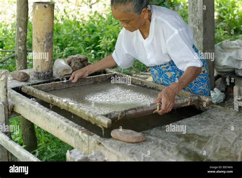 Paper Bark Tree Hi Res Stock Photography And Images Alamy