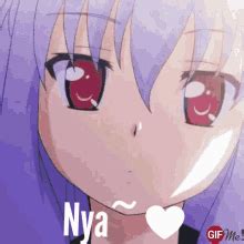Nya  Nya Discover And Share S