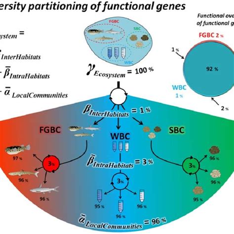 Multiscales Hierarchical Partitioning Of Functional Genes Diversity