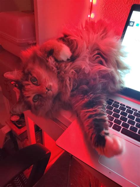 She Doesnt Respect My Workflow Rfloof