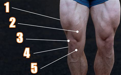 损伤改善膝关节痛的5个训练动作 Exercises for Knee Pain 5 Things You Must Do 仨方