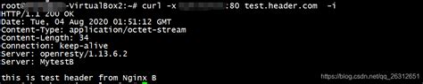 Nginx关于addheader的坑nginx Add Header Csdn博客