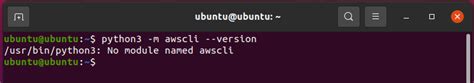 How To Install Aws Cli On Ubuntu Saint