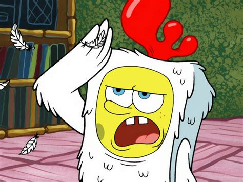 Feather Friends Encyclopedia Spongebobia Fandom