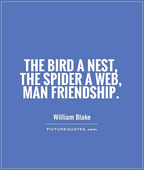 Spider Web Love Quotes QuotesGram