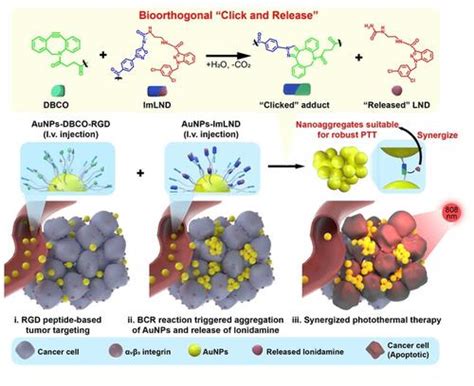 Bioorthogonal “click And Release” Reaction Triggered Aggregation Of