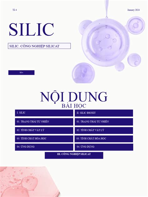 Silic Pdf